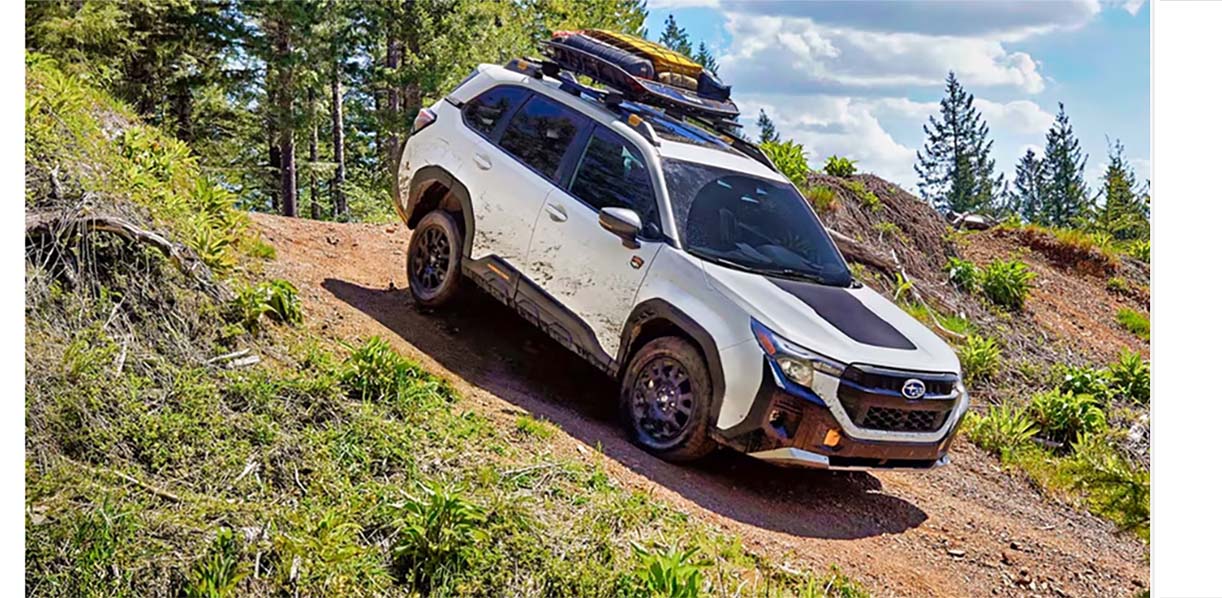 Het wordt wild bij Subaru – Autointernationaal.nl